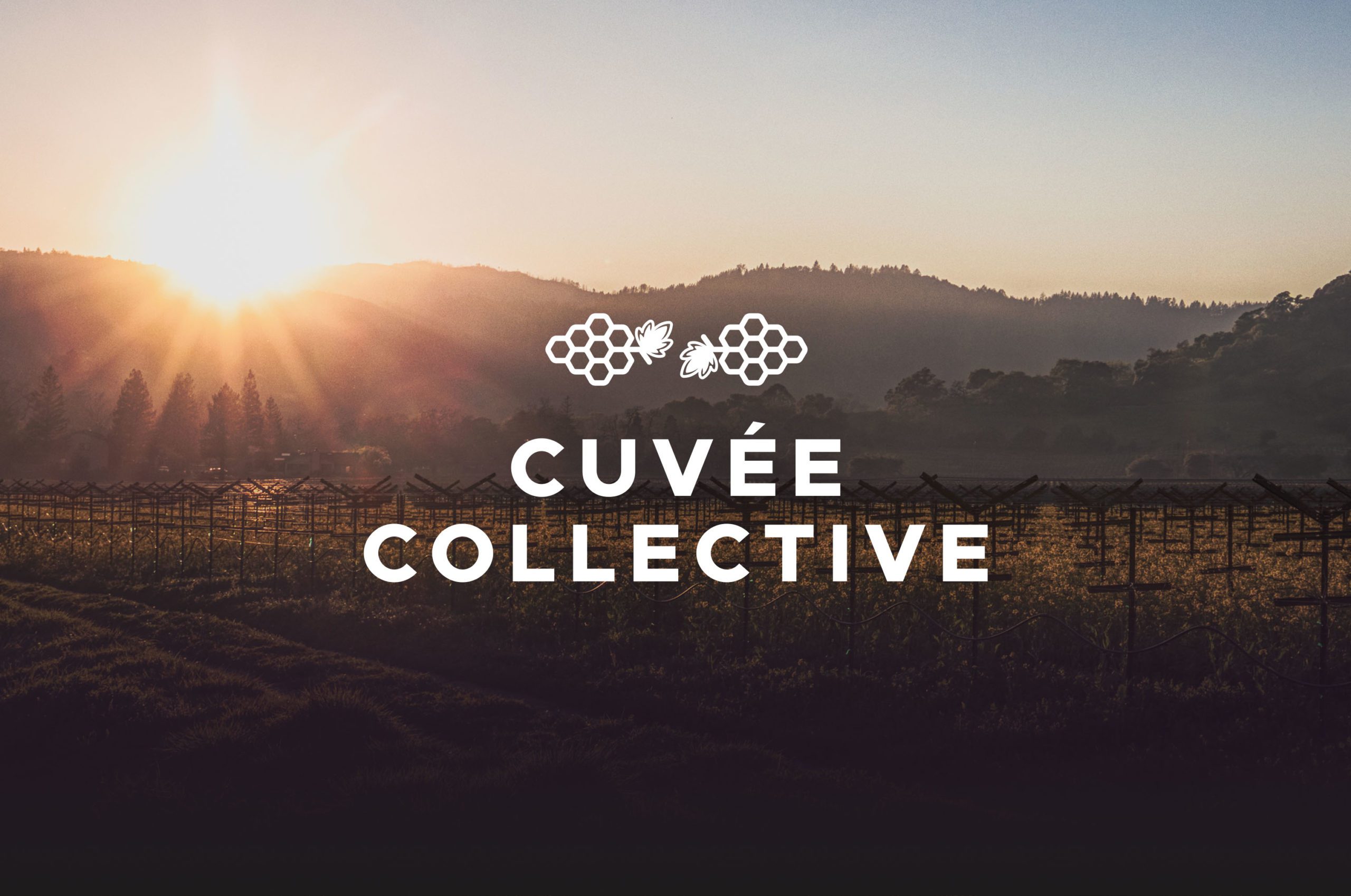 Cuvée Collective NFT Launches July 27th | NFT CULTURE | NFT News | Web3 ...